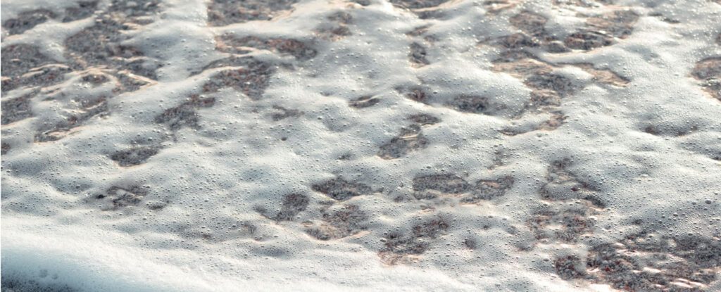 What is Flocculation and how does it happen – Advanced BioCatalytics